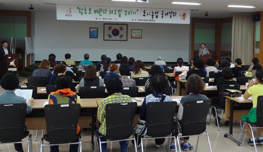 베란다 채소밭이 되다수원화성신문 수원·화성 대표 지역신문