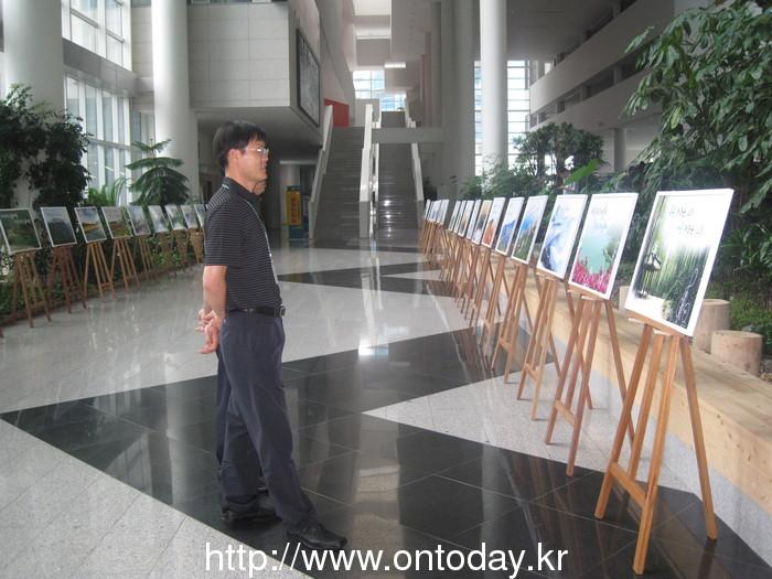 우정청, 우체국이 전하는 남도여름메시지 작품 전시:온투데이 #http://ontoday.kr