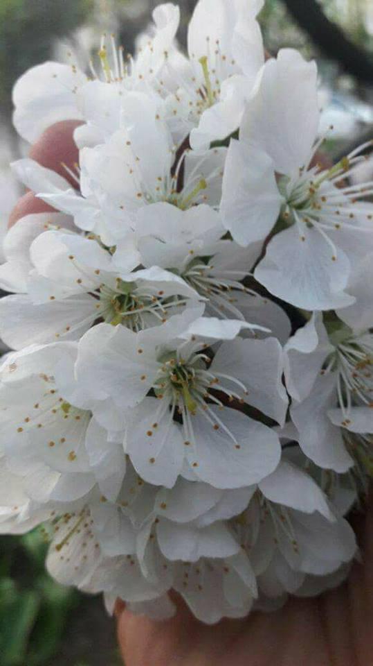 [단독]국세청, 서기관 승진유력 후보 면면(?):온투데이 #http://ontoday.kr