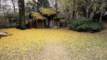 [단독]국세청, 수도권청내 서장과 1년!:온투데이 #http://ontoday.kr