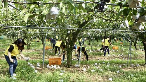 한전KDN, 추석맞이 ‘사랑나눔’ 봉사활동 진행... 지역사회와 ‘희망나눔’:온투데이 #http://ontoday.kr