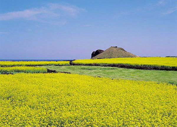 [국세청 인사비화(悲話)-(2.22)]국세청 비고시 1급 흑역사(!)...세상에 이럴수가(!):온투데이 #http://ontoday.kr
