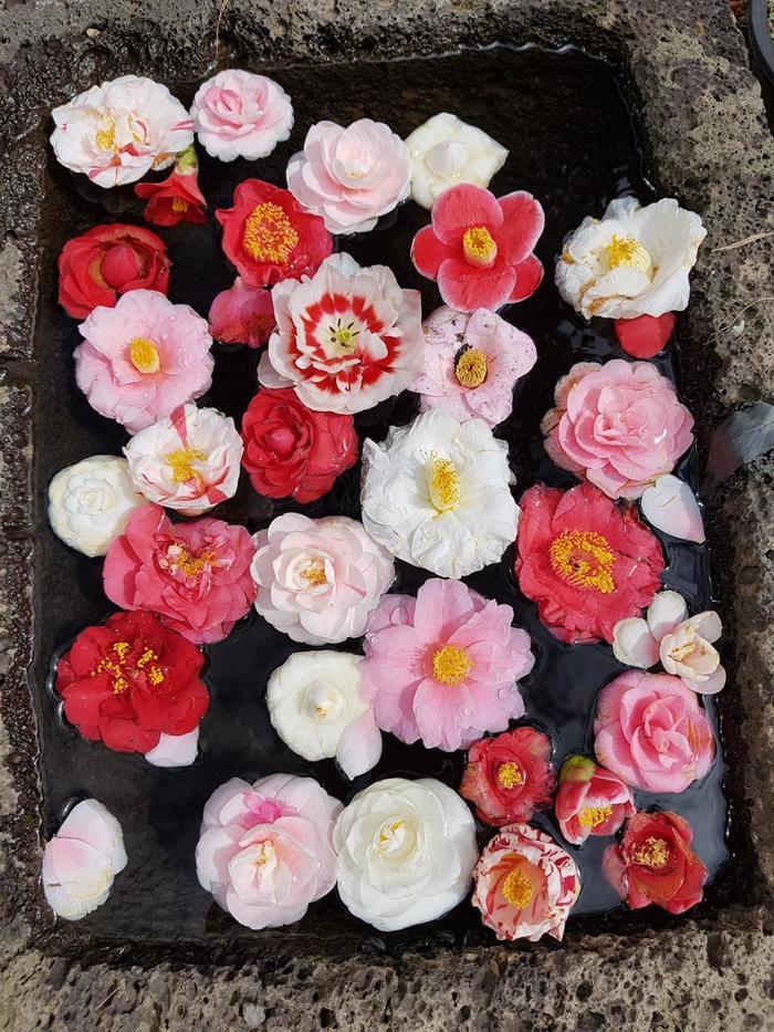 국세청, ˝올 한해 7~8곳 세무서장에게 무슨 일이(!)˝:온투데이 #http://ontoday.kr