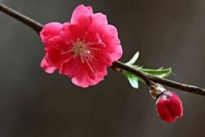 국세청, 행시출신 고위직 2大 아킬레스건(!):온투데이 #http://ontoday.kr