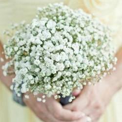 [국세청=인사전망대(2.26)]현 수뇌부...인사행보와 판세(!):온투데이 #http://ontoday.kr