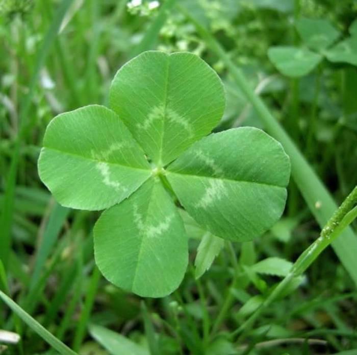 [국세청=인사전망대(6.19)]국세청, 막전막후(2) 세대출신 누가 승진과 영전 할까(!):온투데이 #http://ontoday.kr