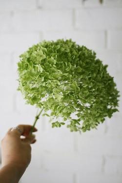 [국세청=인사풍향계(9.23)]국세청, 세대출신 고위직 면면(!)~그리고, 인사행보(예상):온투데이 #http://ontoday.kr