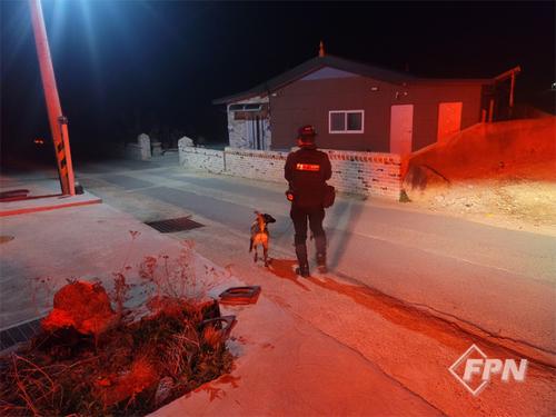 119구조견이 전남 신안서 길 잃은 90대 어르신 구했다:FPN Daily