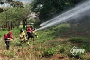 김해서부소방서, 산불 예방 위한 합동훈련:FPN Daily