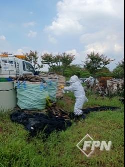 계양소방서, 벌 쏘임 사고 예보제 홍보:FPN Daily