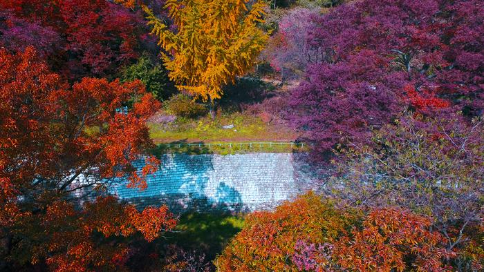 [당신의 상상보다 아름다운 곳 논산] 제8경 '노성산성':논산계룡신문 #http://ngnews.kr