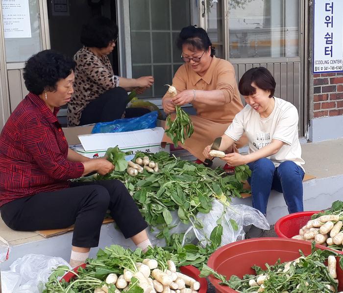 [코로나19와 동고동락] 코로나 대안, 찾아보면 꼭 나오게 마련:논산계룡신문 #http://ngnews.kr